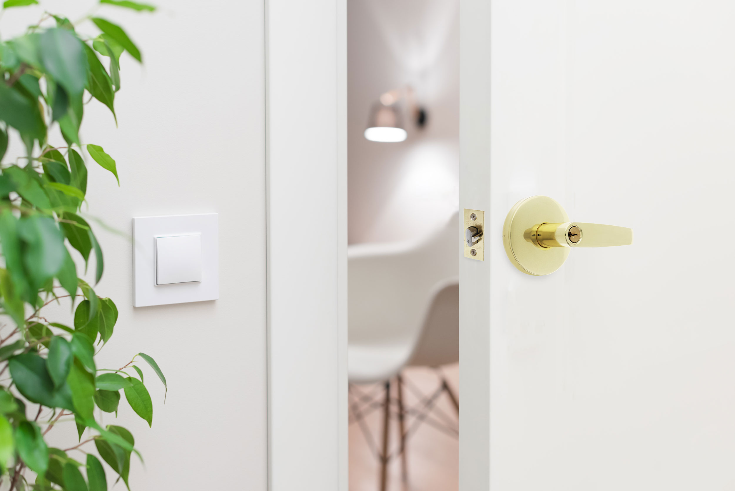 Carbine Locksets – Commercial & Residential