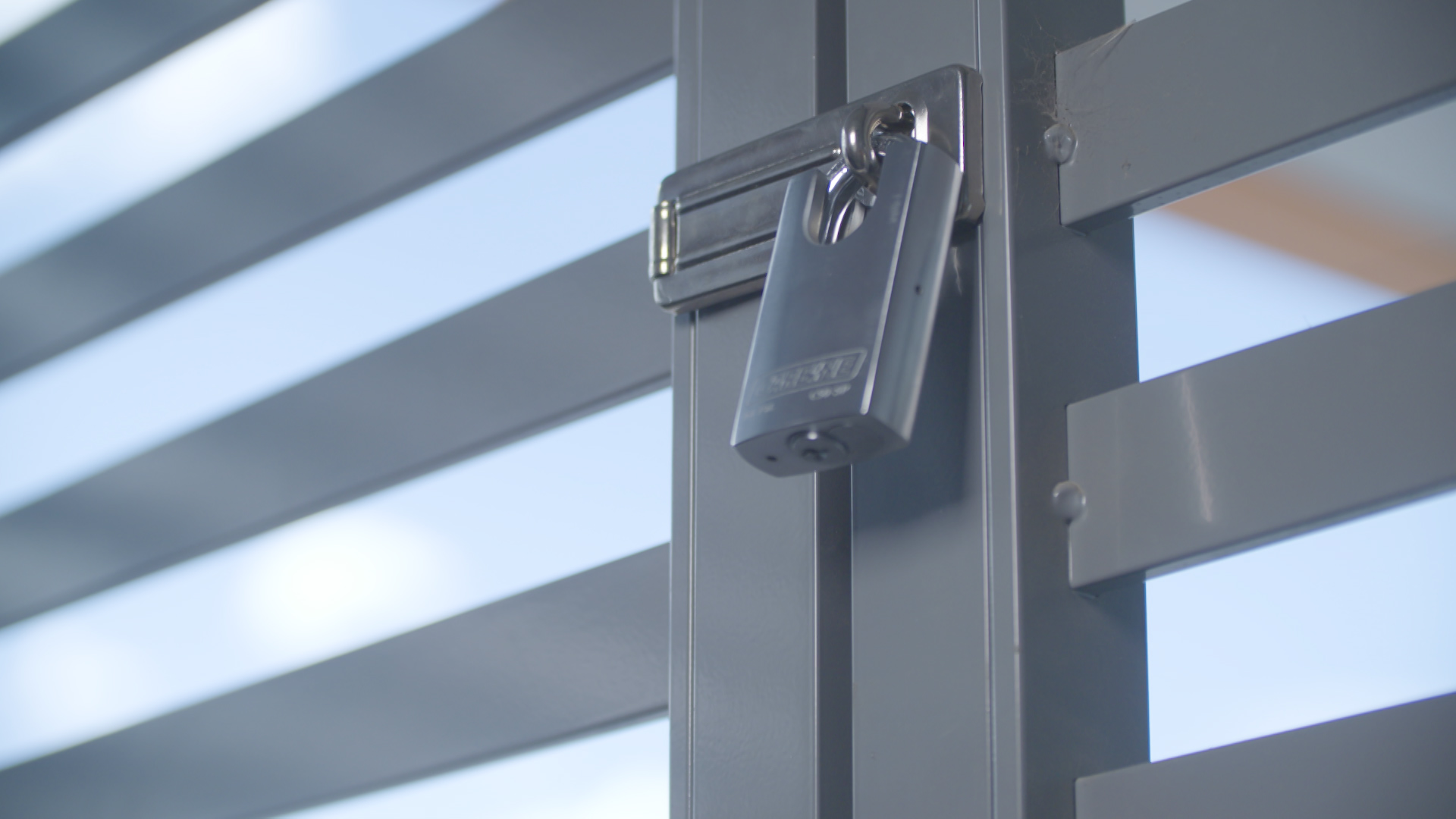 Hasp & Staple Series – Carbine Padlocks